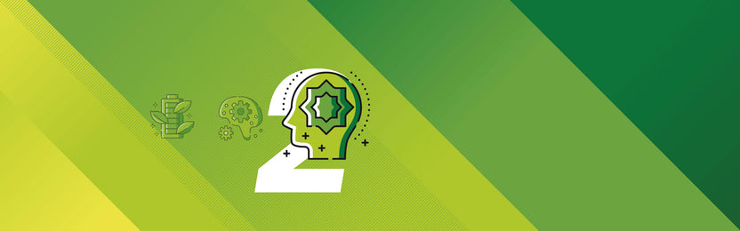 Infused energy® Dein Pflanzenpower Drink